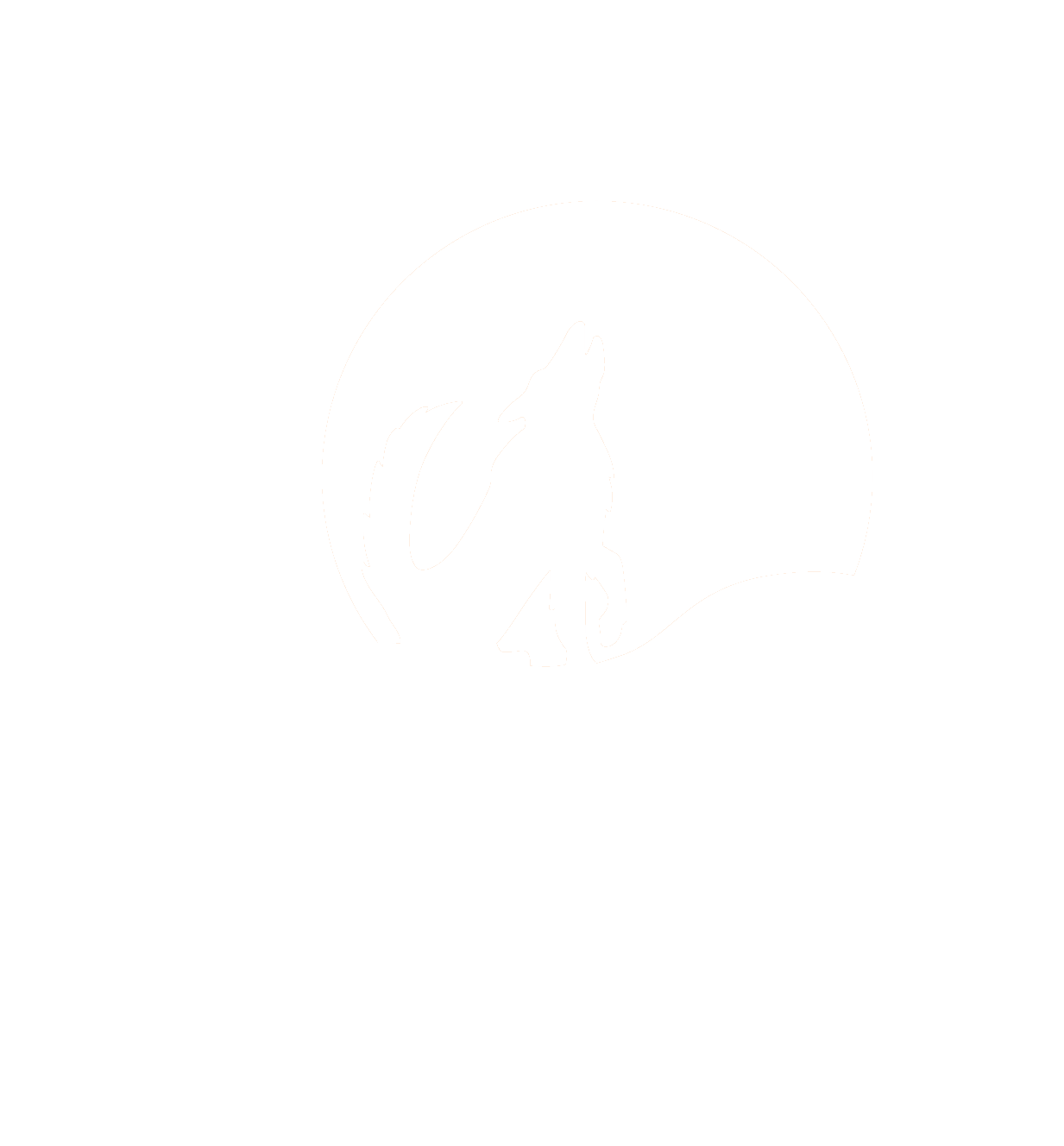 Private Events | Howl at the Moon | Power & Light District